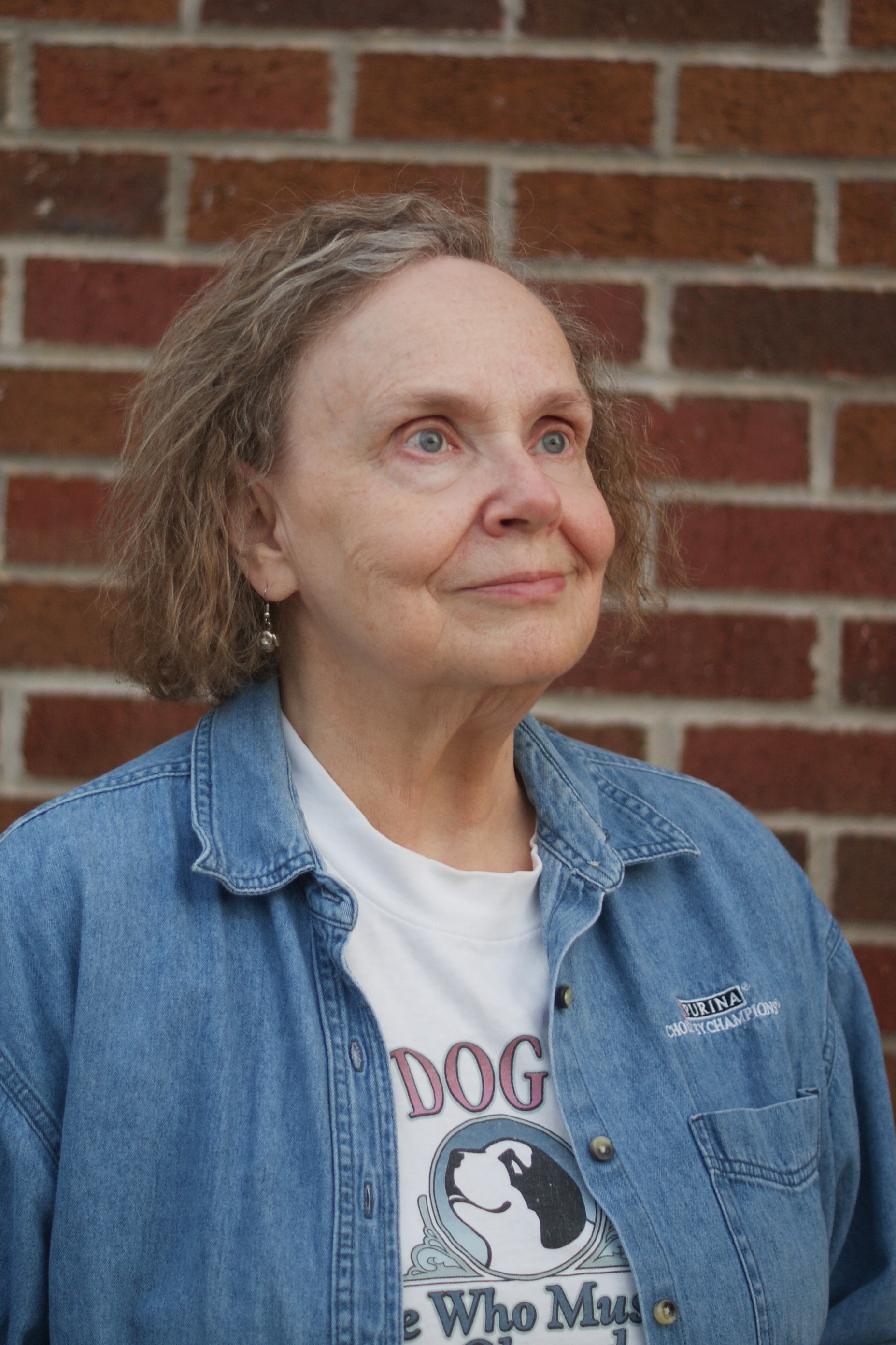 Ten November - Bay City Players